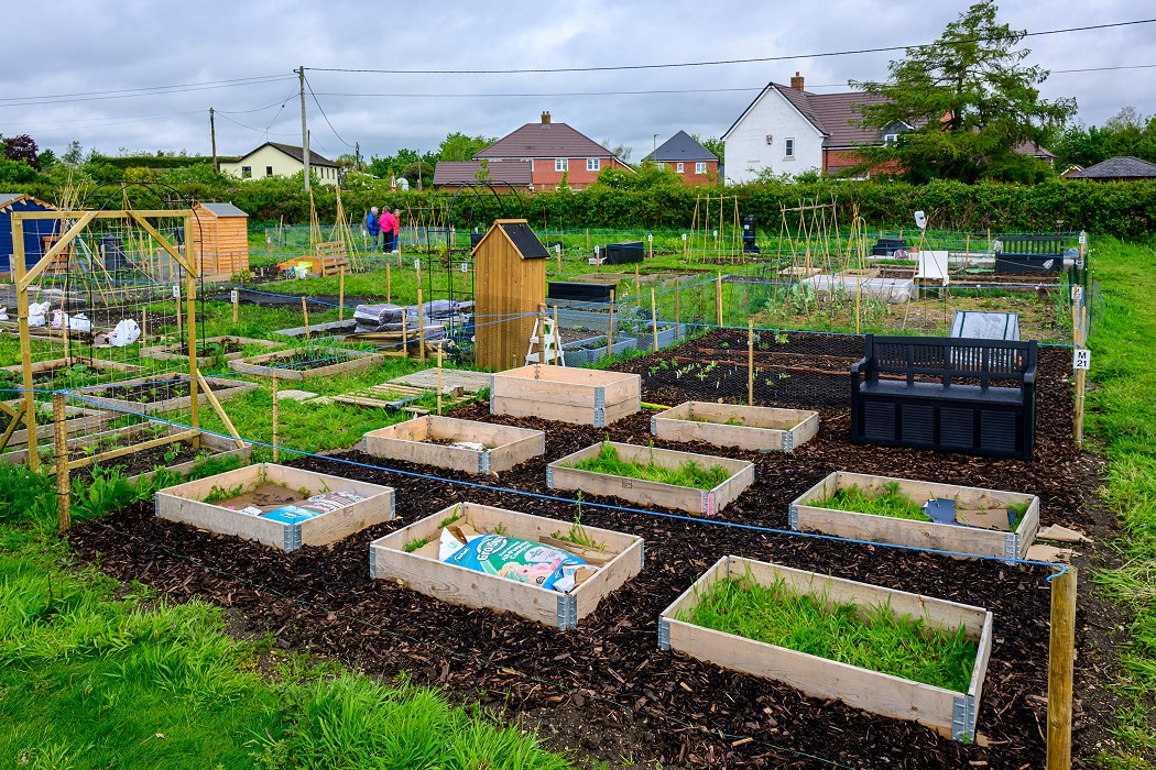 Opening of new allotment site at Crow Arch Lane